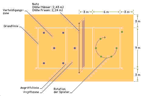 Das Volleyball-Spielfeld